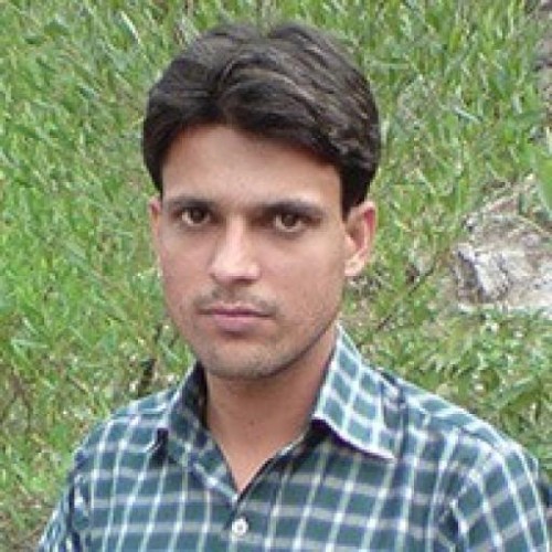 Pure CSS Percentage Circle With Animation | Fill Circle Border