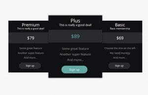 20+ CSS Responsive Pricing Table Desgin | Codeconvey