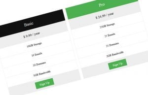 20+ CSS Responsive Pricing Table Desgin | Codeconvey
