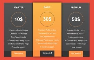20+ CSS Responsive Pricing Table Desgin | Codeconvey