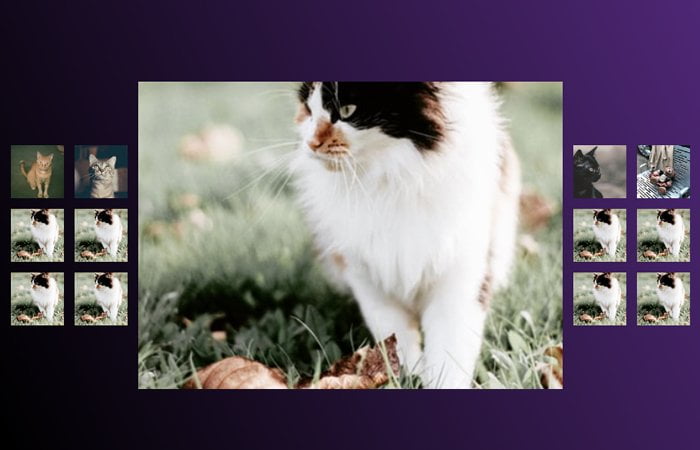 Simple HTML Photo Gallery With Source Code Codeconvey