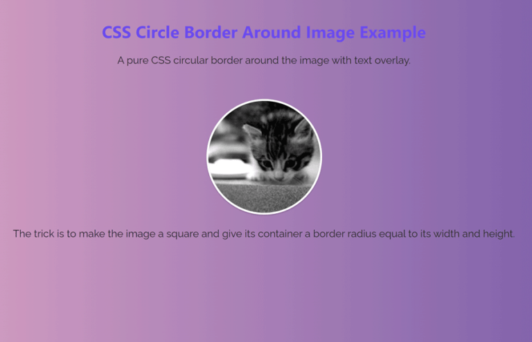 Easy Way To Draw CSS Circle Border Around Image