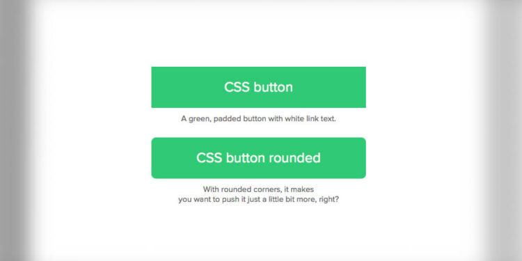 How to Make Button Round Using in CSS & HTML